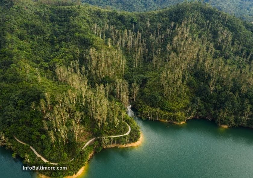Liberty Reservoir Trail - The Baltimore Buzz